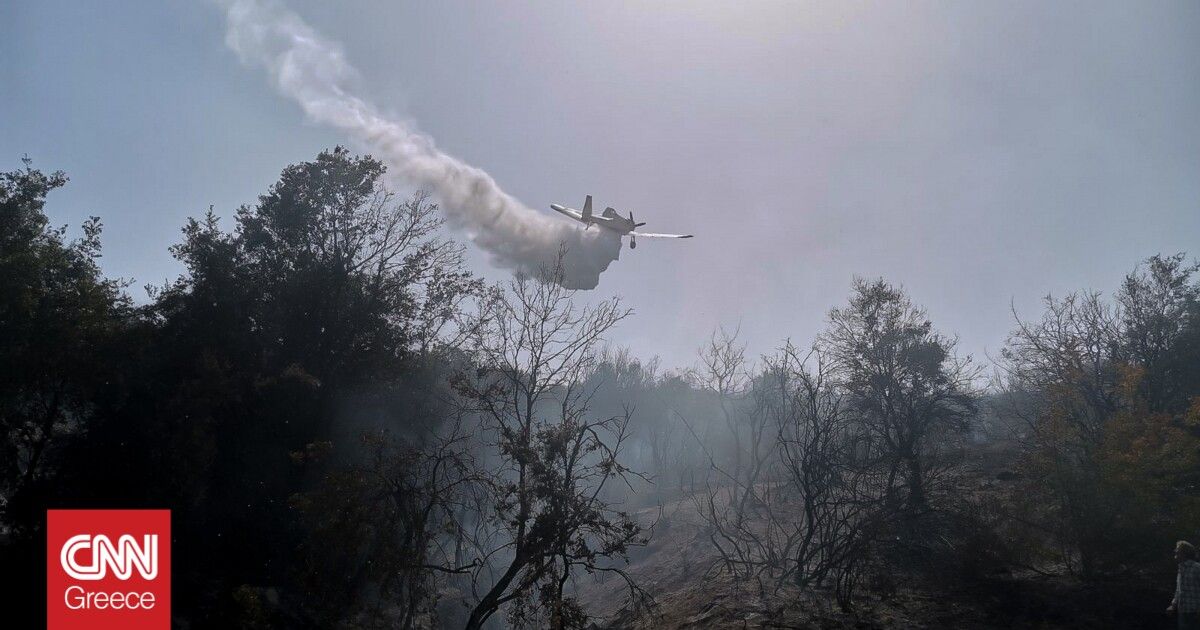 Πολύ υψηλός κίνδυνος πυρκαγιάς την Κυριακή σε πέντε περιφέρειες - CNN.gr