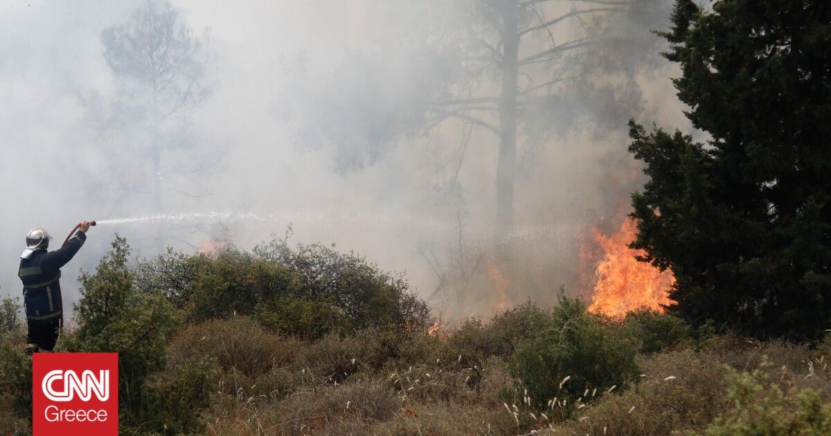 Φωτιά στο Σέιχ Σου στη Θεσσαλονίκη: Μεγάλη κινητοποίηση της ...