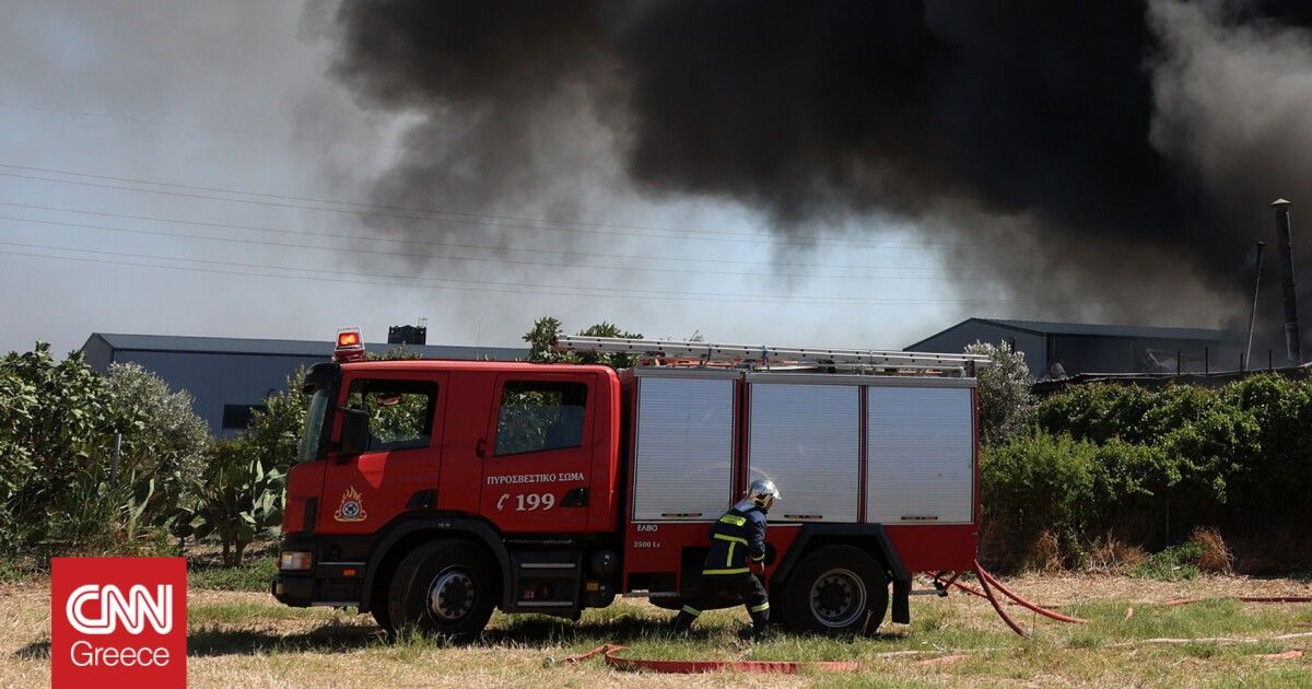 Φωτιά στη Ναύπακτο - Μεγάλη κινητοποίηση της Πυροσβεστικής - CNN.gr