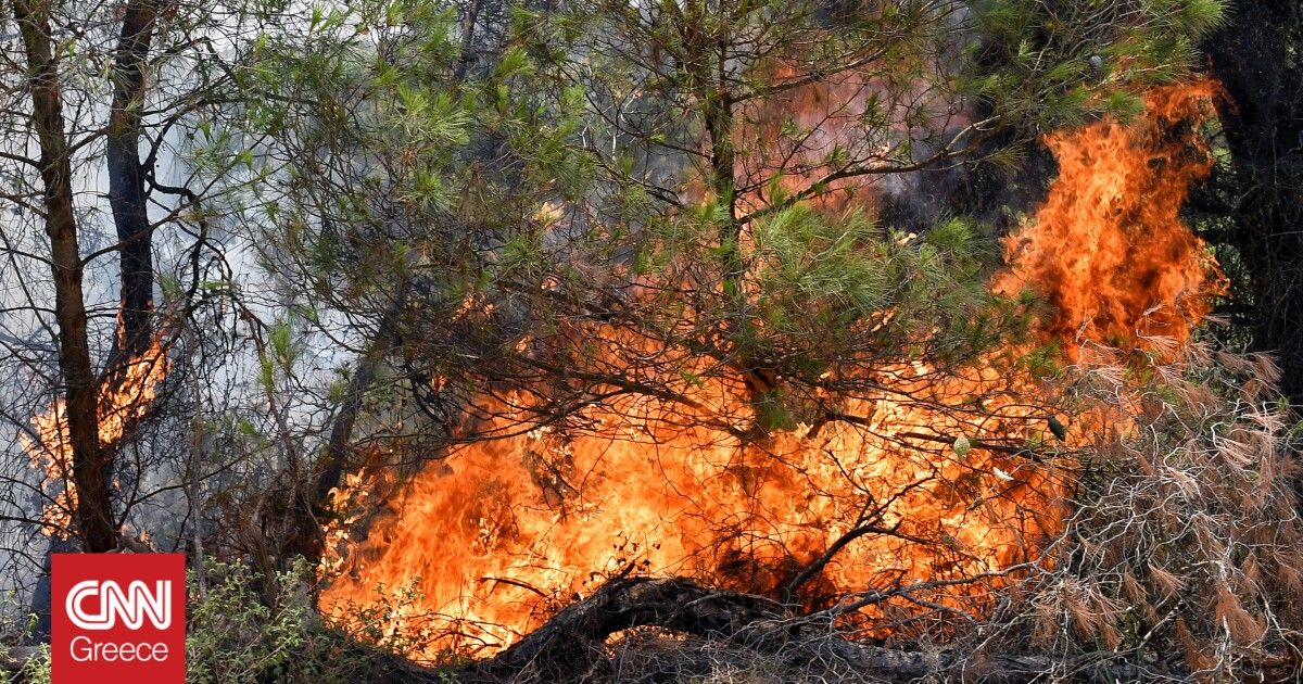 Φωτιά στη Θάσο: Επί ποδός επίγειες και εναέριες δυνάμεις της ...