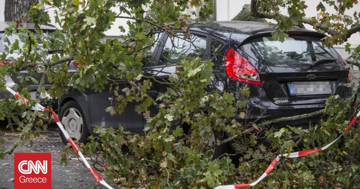 Τραγωδία στις Σέρρες: Άνδρας καταπλακώθηκε από δέντρο στην αυλή του ...