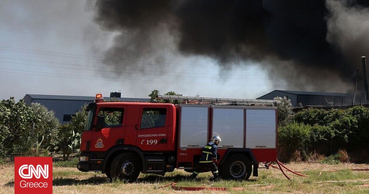 Πύλος: Σε εξέλιξη πυρκαγιά στην περιοχή Τουλούπα - Άμεση η κινητοποίηση ...