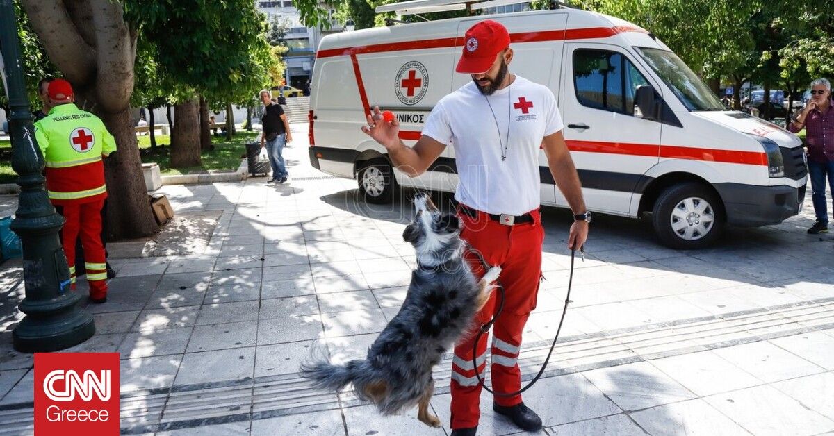 Παγκόσμια Ημέρα Ζώων: Δράση του Ελληνικού Ερυθρού Σταυρού για παροχή ...