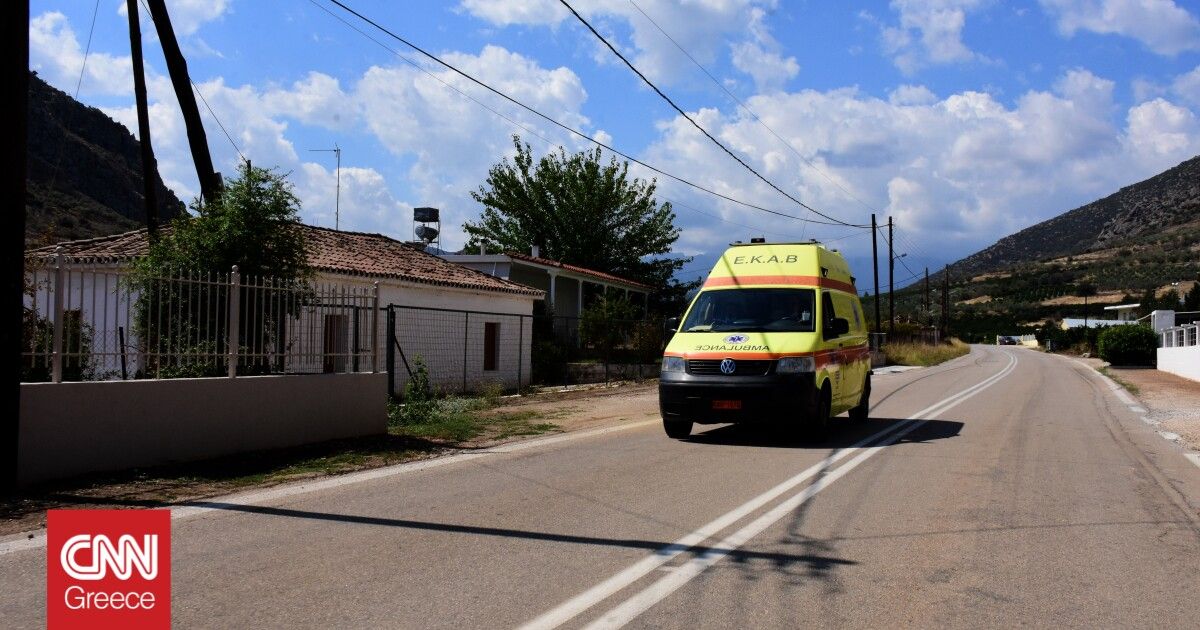 Τζουμέρκα: Διασωληνωμένος 63χρονος που καταπλακώθηκε από κλαδί δέντρου ...