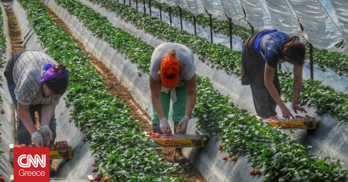 Συμφωνία με την Αίγυπτο για 5.000 εποχικούς εργάτες γης στην Ελλάδα ...
