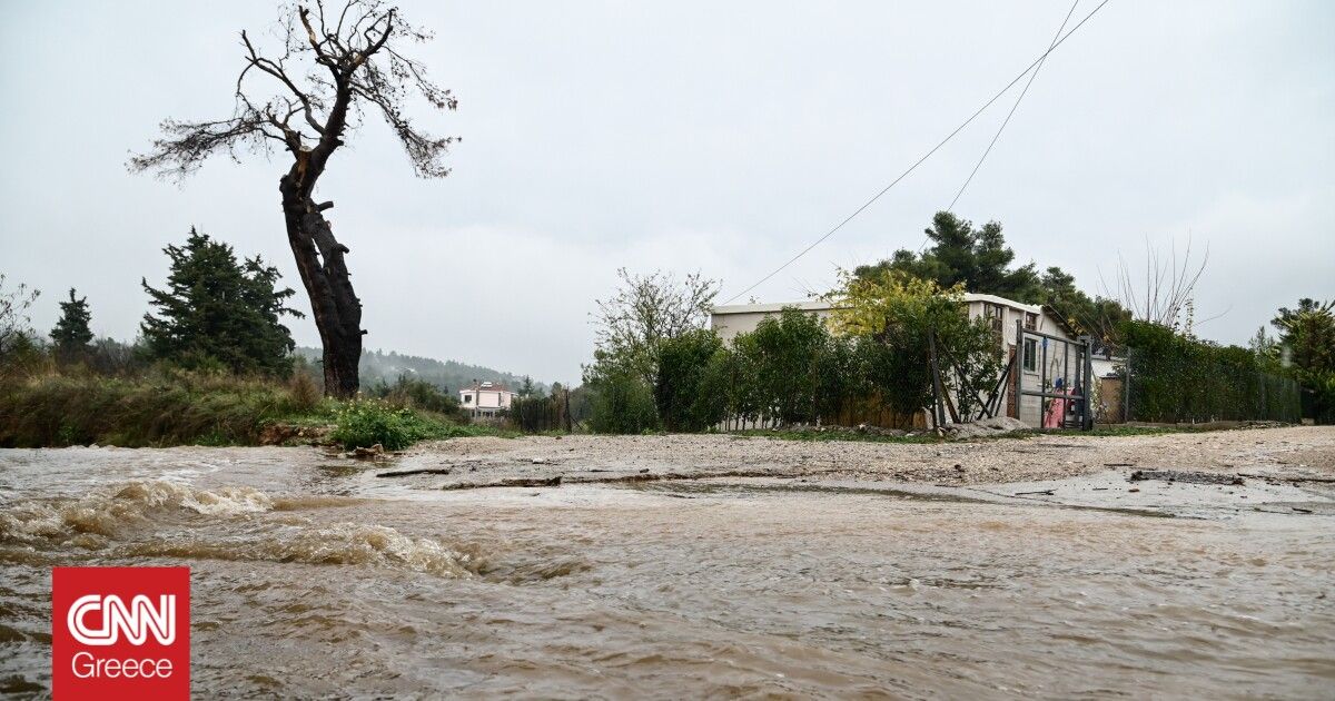 Θεσσαλονίκη: Διακοπές ρεύματος και πτώσεις δέντρων προκάλεσε η «Άριελ ...