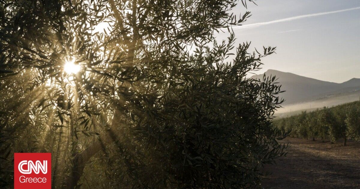 Κλιματική Αλλαγή: Αυξάνονται σημαντικά στην Ελλάδα οι ημέρες με υψηλές ...