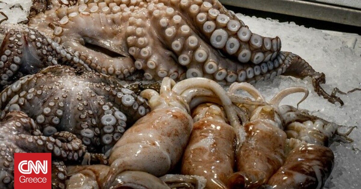 Τι σχεδιάζεται για το «καλάθι της Σαρακοστής» και τα δύο «πασχαλινά ...