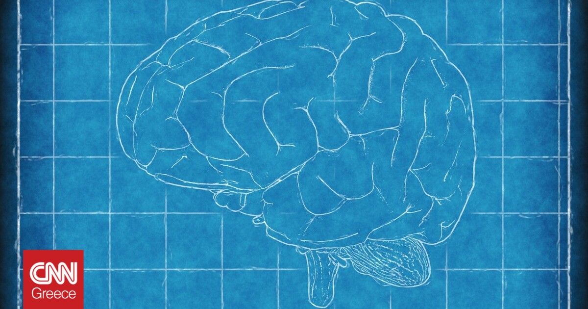 Η εμφύτευση ιστών ανθρώπινου εγκεφάλου σε αρουραίους, ελπίδα για νέες ...