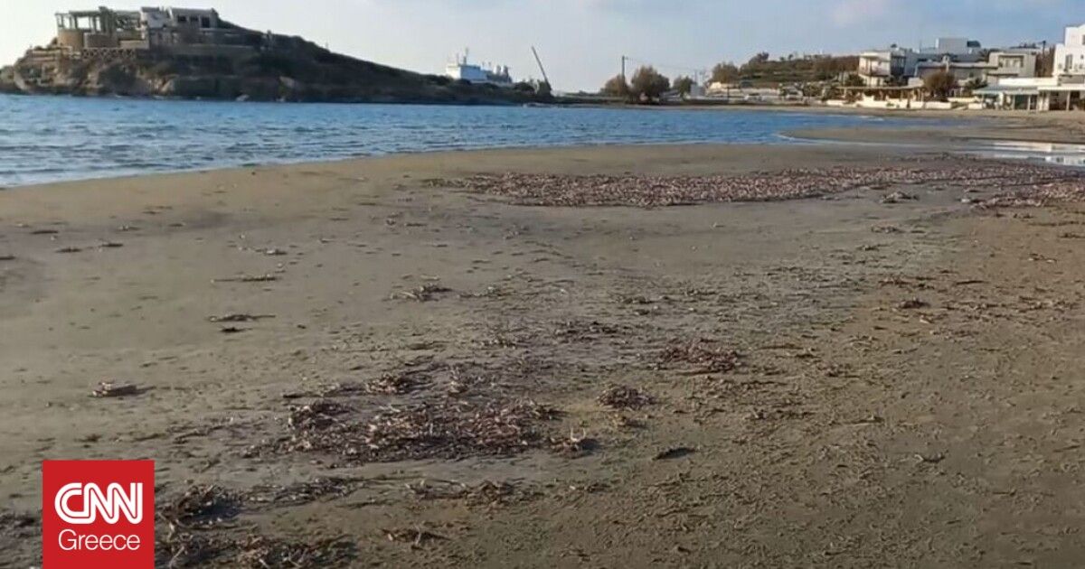 Νάξος: Η άμπωτη «εξαφάνισε» την παραλία Αγίου Γεωργίου - CNN.gr