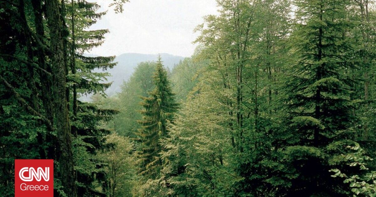 Natura 2000: Δίμηνη παράταση στη διαβούλευση για τις Ειδικές ...