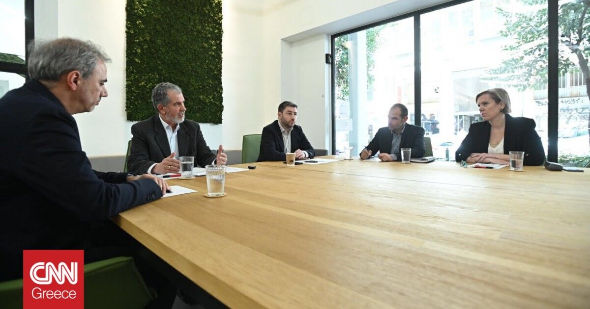 Βολές Ανδρουλάκη κατά Μητσοτάκη στη συνάντηση για την ασφάλεια των ...
