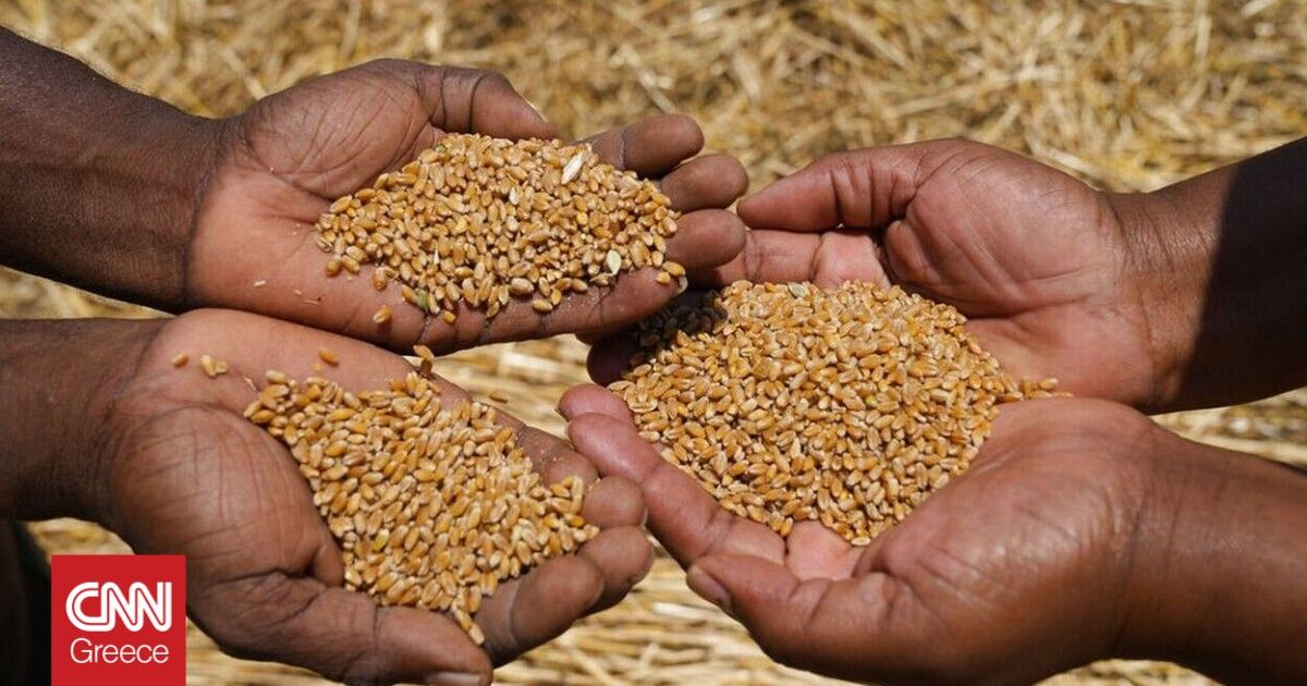 Ουκρανία - Ρωσία: Η συμφωνία για τα σιτηρά της Μαύρης Θάλασσας ...