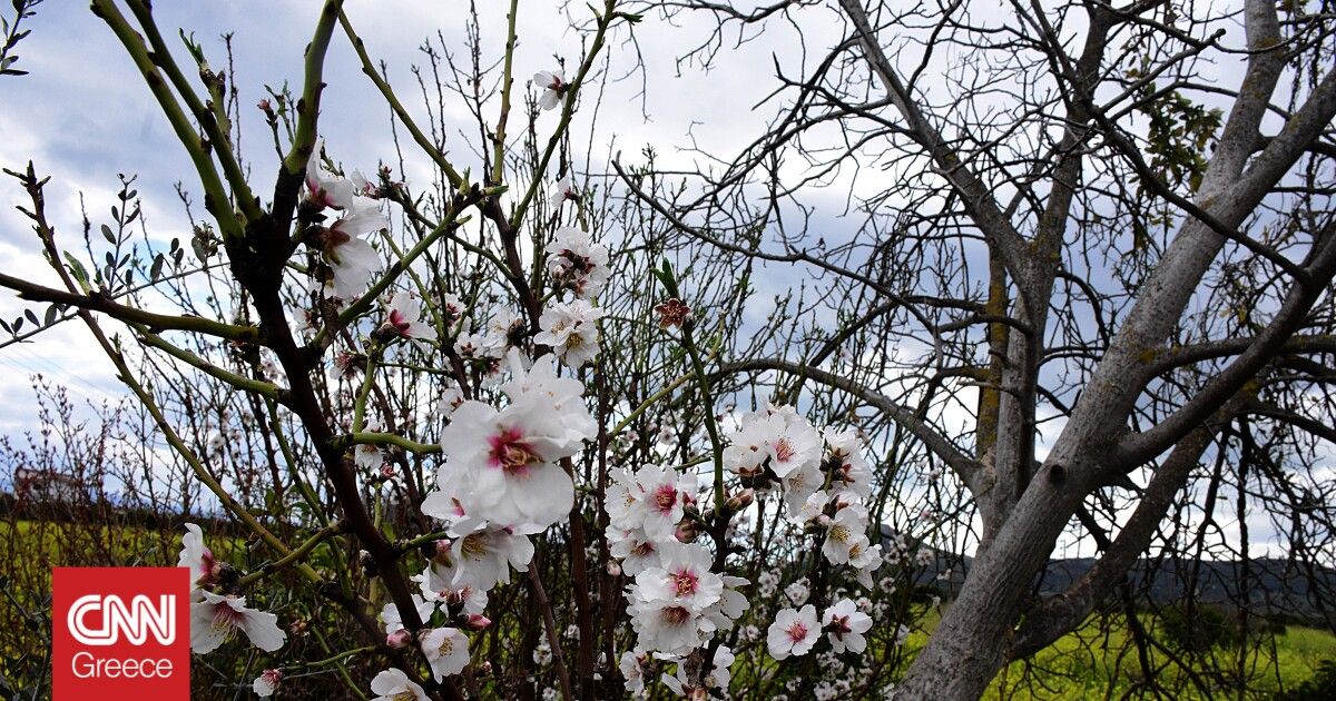 Αίθριος αναμένεται ο καιρός την Πέμπτη - Πού θα βρέξει - CNN.gr