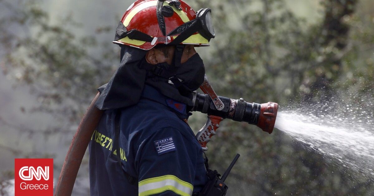 Πυρκαγιά σε δασική έκταση στο Παλιούρι Χαλκιδικής - CNN.gr