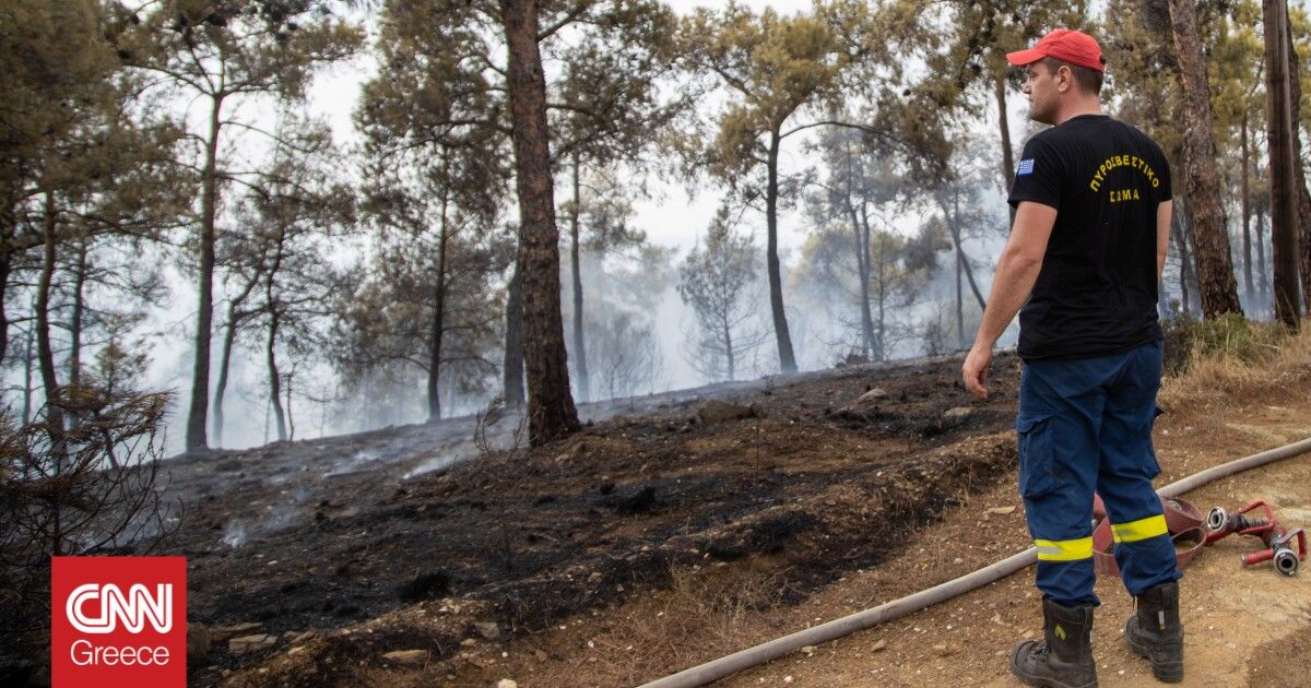Αστεροσκοπείο: Στη μάχη για την πρόληψη των δασικών πυρκαγιών και η ...