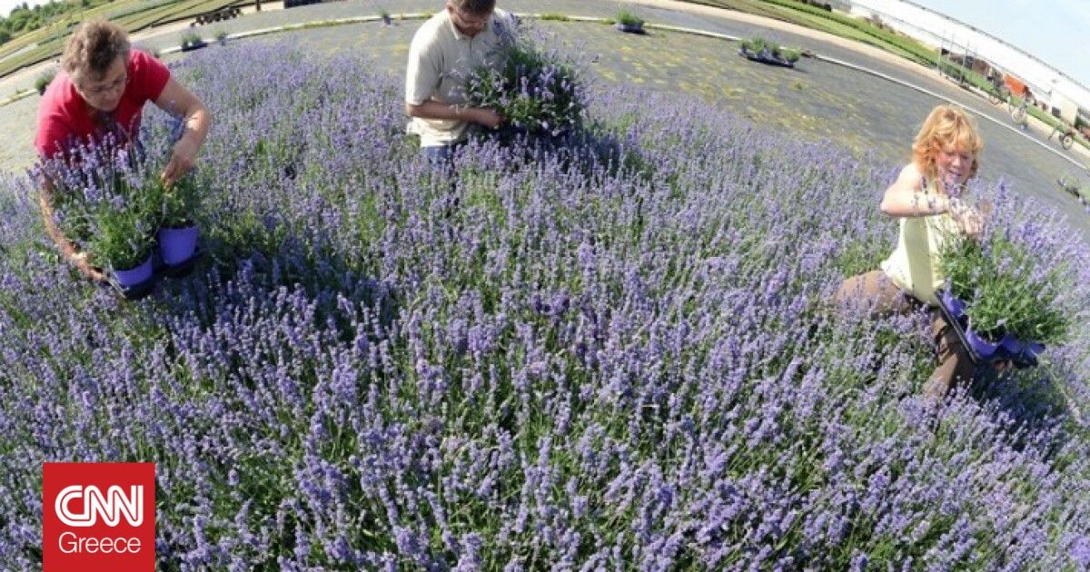 ΕΚΠΑ: Τα «πράσινα» επαγγέλματα του μέλλοντος - CNN.gr