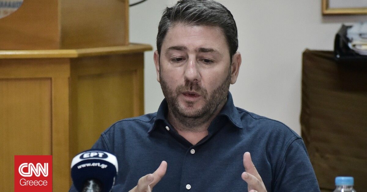 Ανδρουλάκης: Μεγάλες οι διαφορές του ΠΑΣΟΚ και με τη ΝΔ και με τον ...