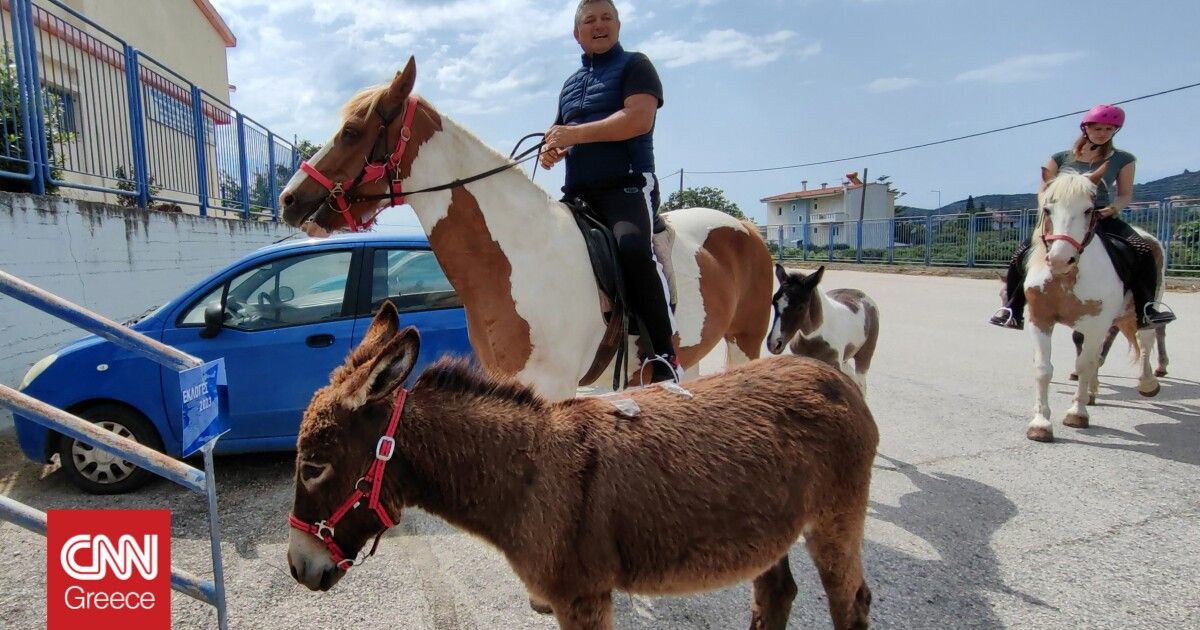 Τα παράξενα των εκλογών: Οι νεόνυμφοι, τα γαΐδουράκια, τα άλογα και τα ...