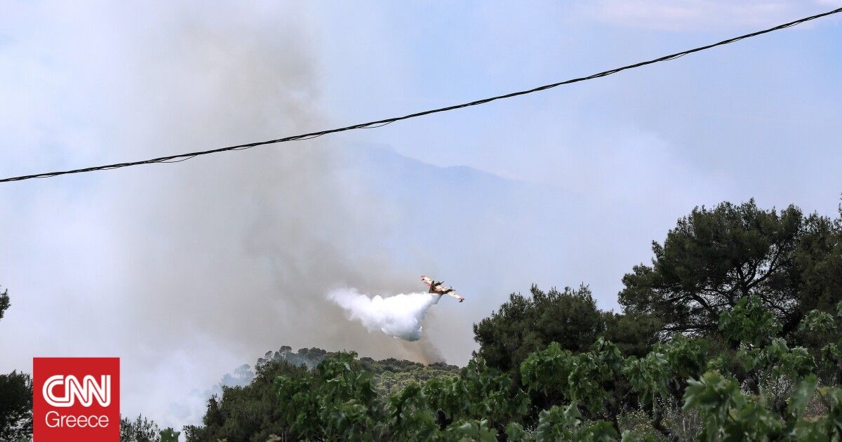 Πυρκαγιά στα Γεράνεια Όρη στους Αγίους Θεοδώρους - CNN.gr