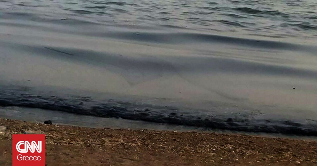 Σαλαμίνα: Νεκρή γυναίκα εντοπίστηκε σε παραλία - CNN.gr