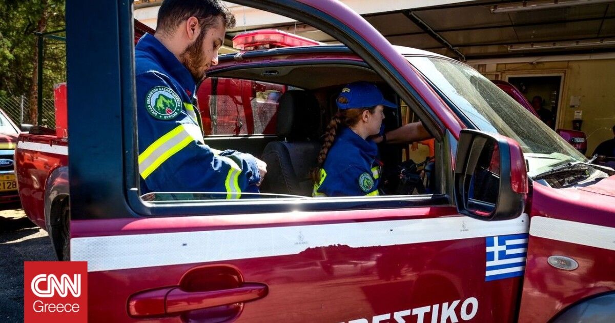 Θεσσαλονίκη: Γάτα προκάλεσε φωτιά σε υποσταθμό της ΔΕΗ - CNN.gr