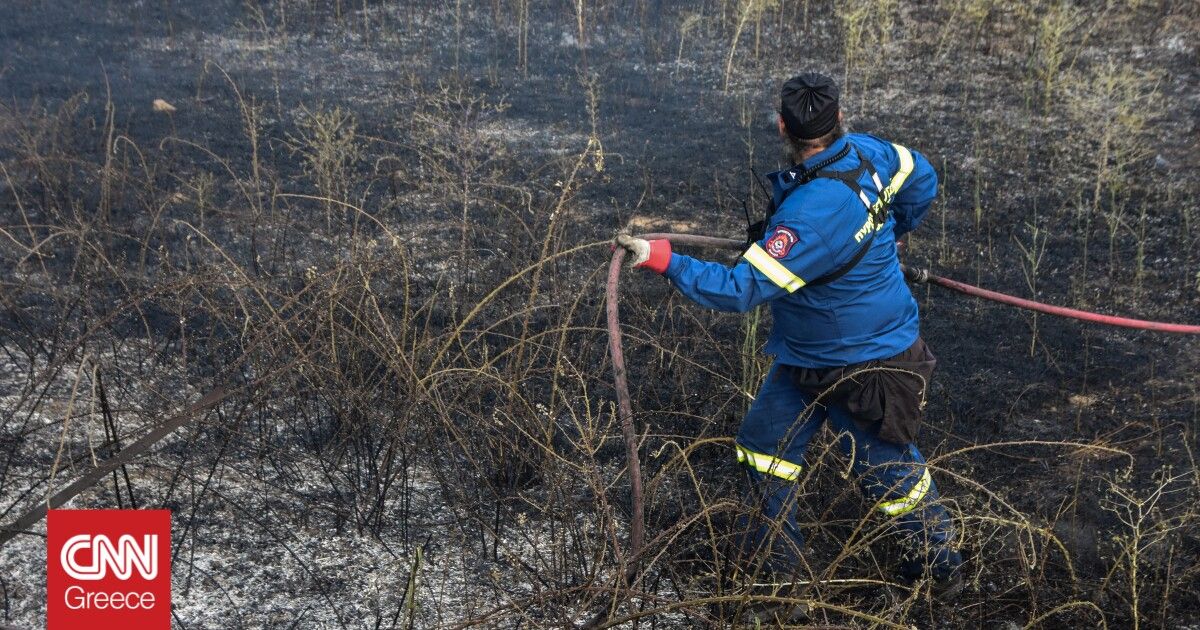 Πυρκαγιά στο Άγιο Όρος: Καίγεται δάσος στη Μονή Μεγίστης Λαύρας - CNN.gr