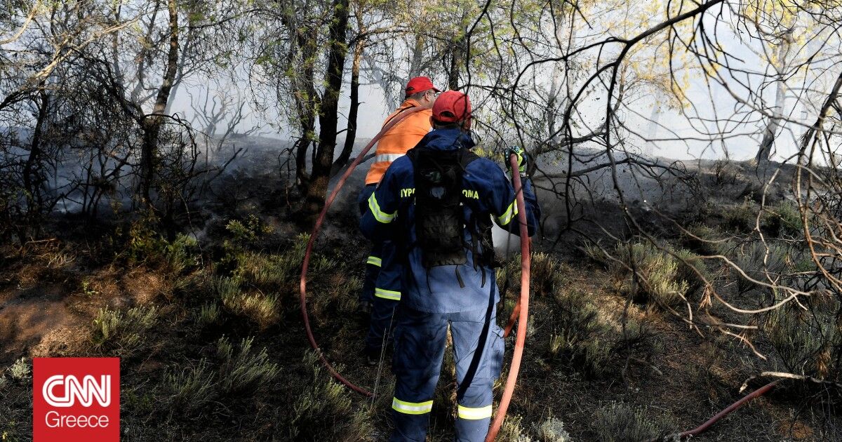 Σε ύφεση η φωτιά στη Ιεράπετρα - Υπό μερικό έλεγχο σε Ηράκλειο και ...