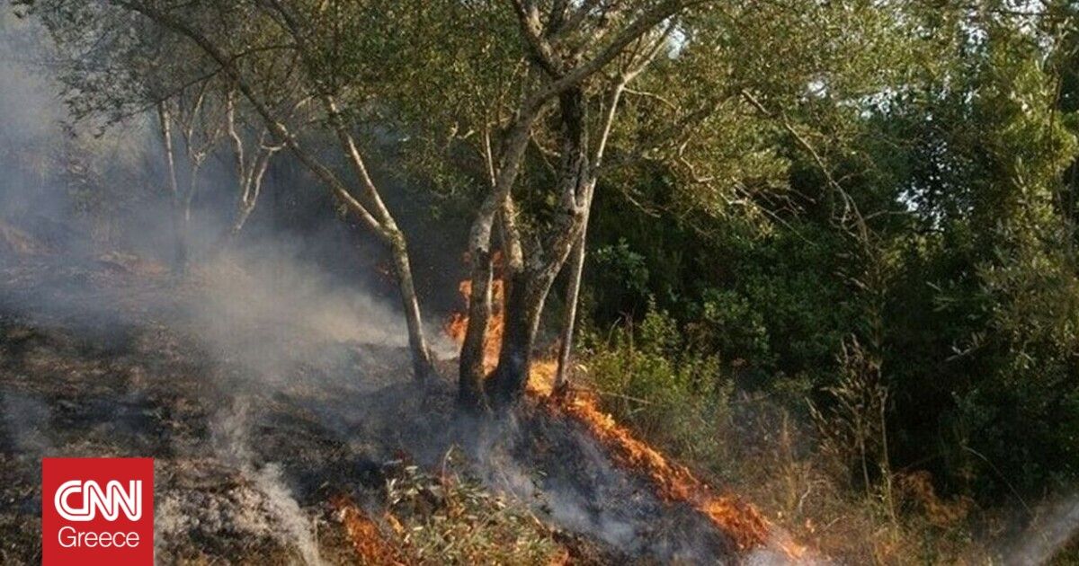 Ποιες περιοχές εμφανίζουν υψηλό κίνδυνο πυρκαγιάς σήμερα - CNN.gr