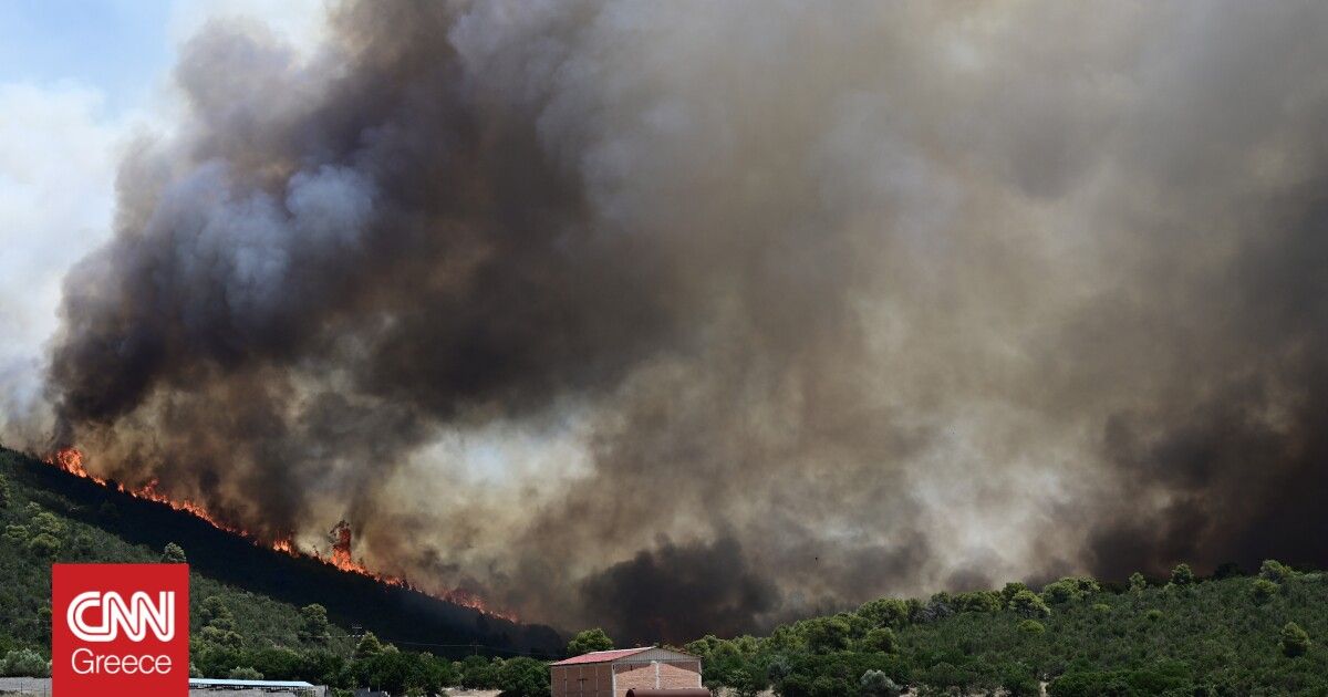 Απειλή οι καπνοί: Έκκληση του καθ. Κουλούρη για τους ασθενείς με άσθμα ...