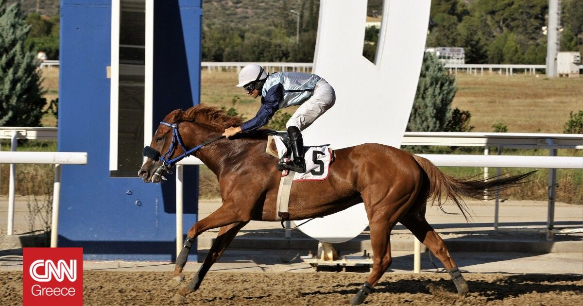 Markopoulo Park: Μεγάλα κέρδη για τρεις νικητές στο ΣΚΟΡ 6 - CNN.gr