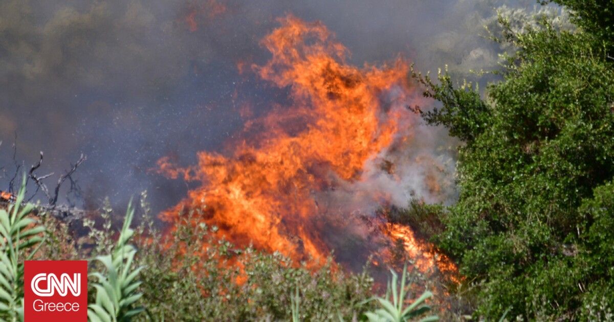Πυρκαγιά στην Κάρυστο: Εκκενώνονται οι οικισμοί Λιβάδι, Ποτάμι ...