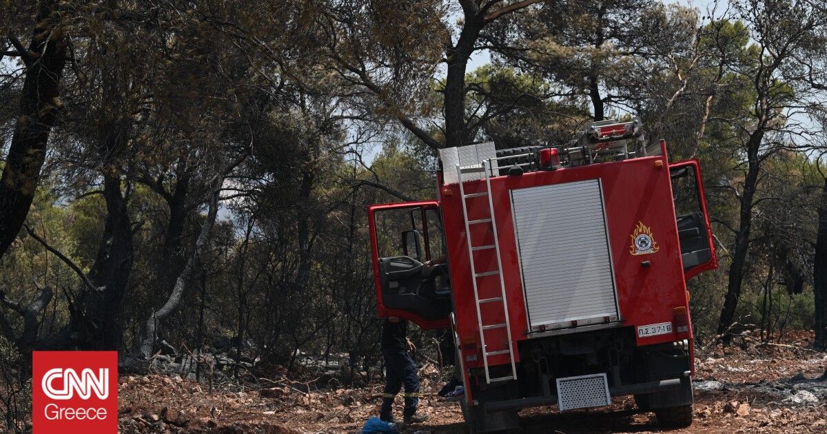Αρτοποιός για Ρόδο: Εξακολουθεί να είναι το μεγαλύτερο μέτωπο - Σε ...