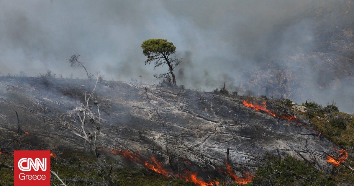 Ακραίος κίνδυνος εκδήλωσης πυρκαγιάς και τη Δευτέρα - CNN.gr