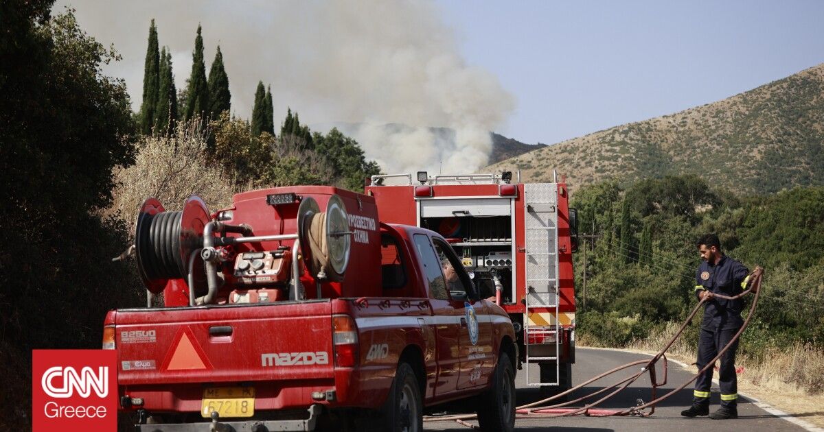 Υπό πλήρη έλεγχο η φωτιά στα Αργυραίικα του Πηλίου - Κάηκαν 300 ...