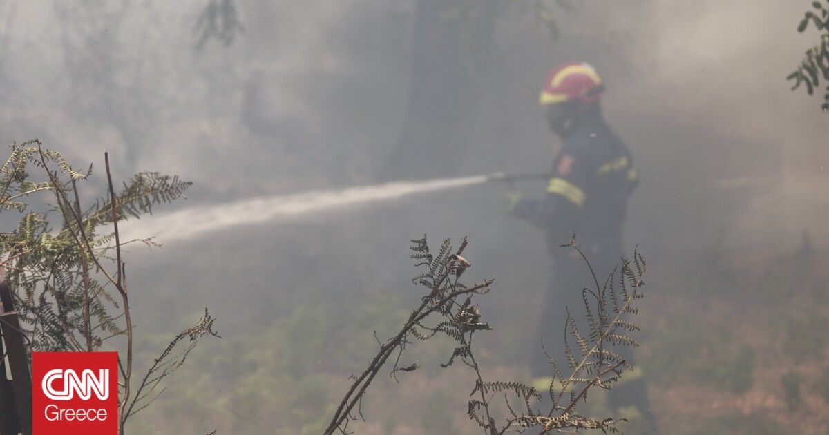 Φωτιά στην Κέρκυρα: Εκκενώνονται οι περιοχές Καλαμάκι και Απραός - CNN.gr