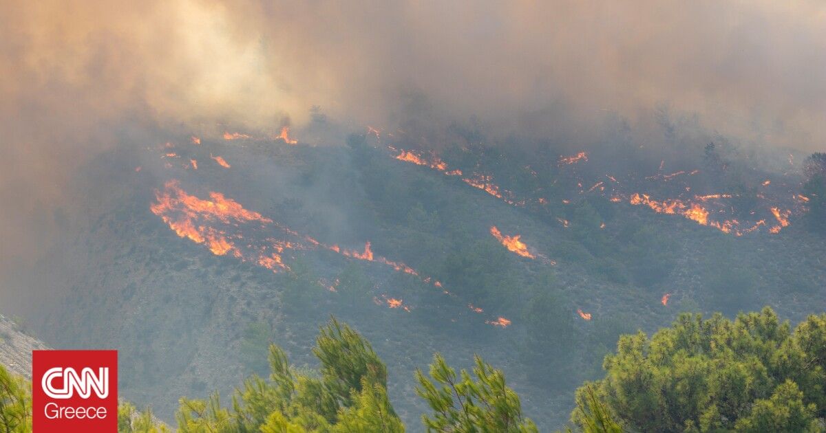 Φωτιά στη Ρόδο: Μήνυση για εμπρησμό και απόπειρα ανθρωποκτονίας θα ...