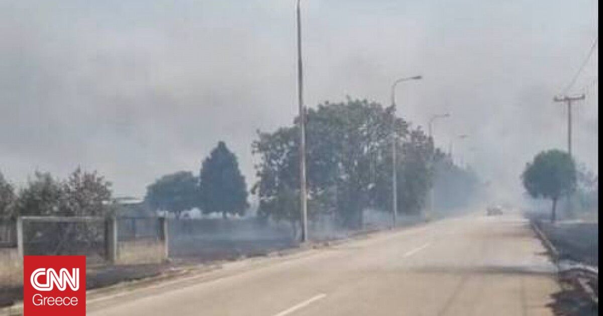 Φωτιά στο Βόλο - Μήνυμα για εκκένωση σε Διμήνι, Παλιούρι και ΒΙΠΕ ...