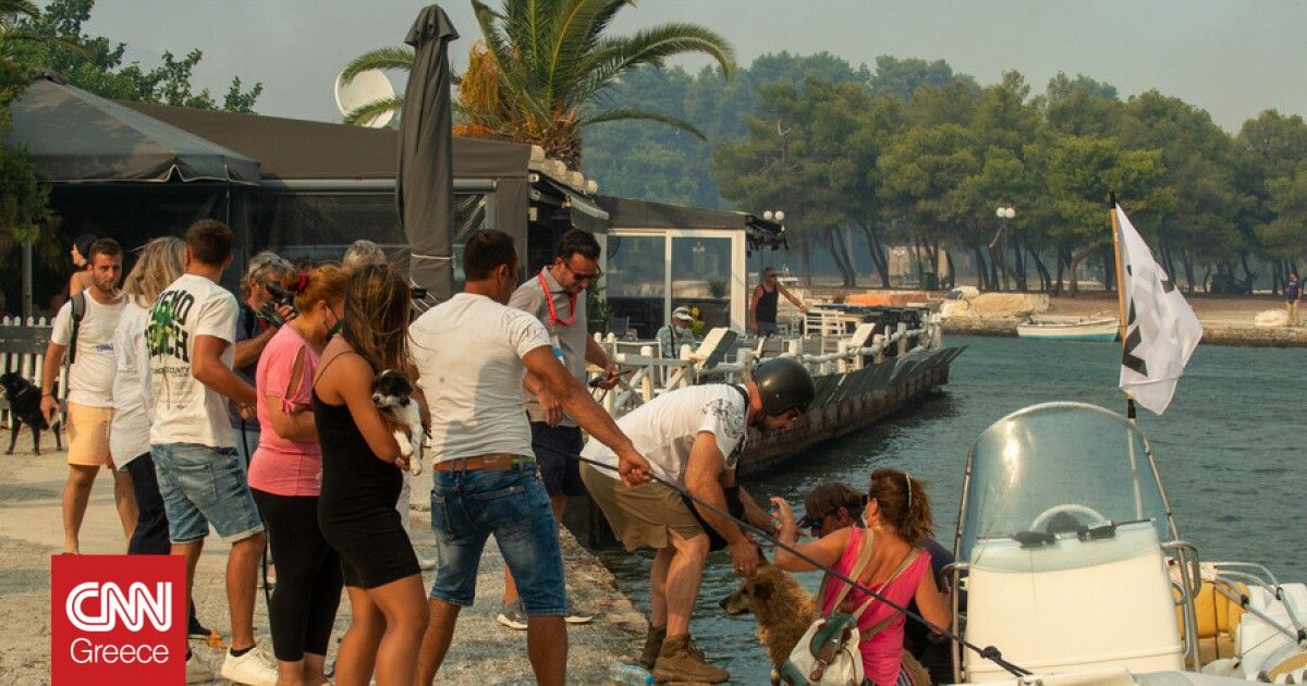 Εισαγγελική έρευνα για τη φωτιά στη Μαγνησία - CNN.gr