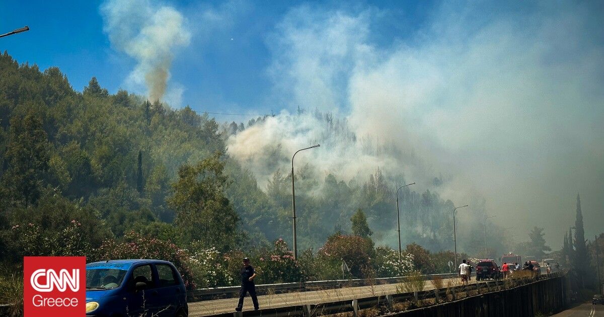 Πυρκαγιά στην Ηλεία: Βελτιωμένη η εικόνα στα πύρινα μέτωπα - Προσήχθη ...