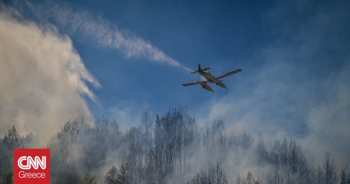 Πυρκαγιά στην Ηλεία: Προσαγωγή υπόπτου για απόπειρα εμπρησμού στην ...