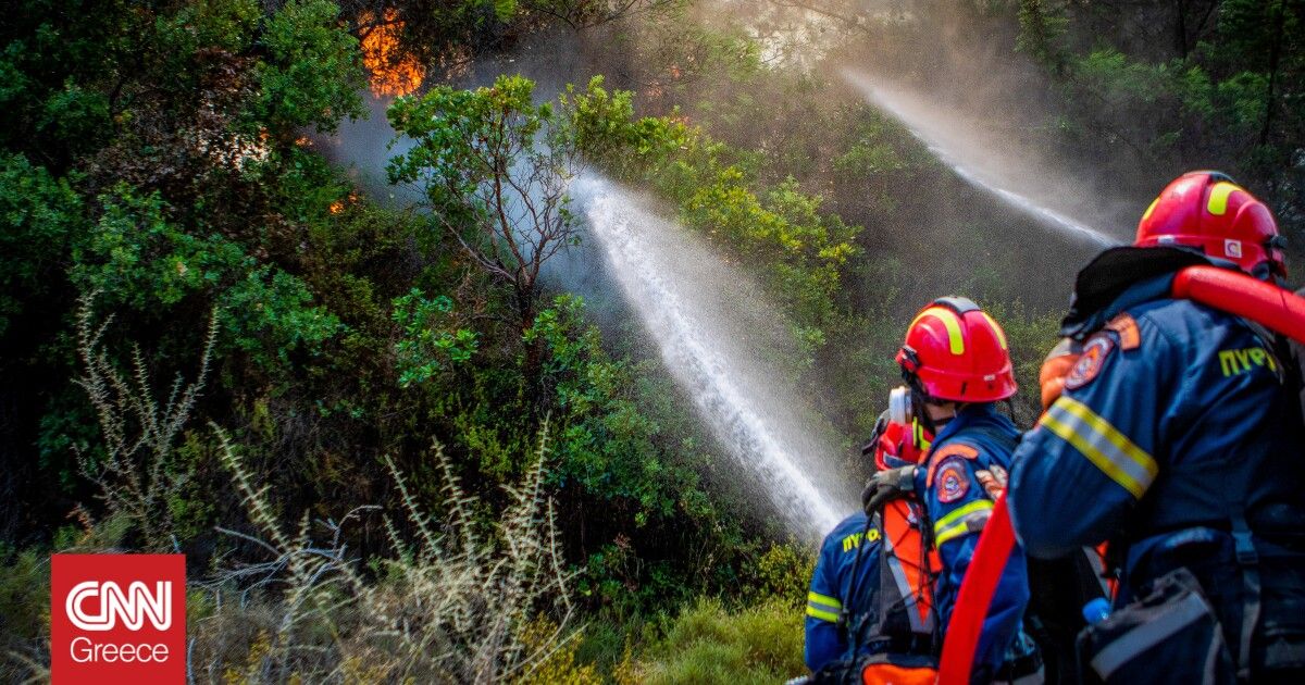 Πυρκαγιά σε δασική έκταση στο Αγρίνιο - CNN.gr