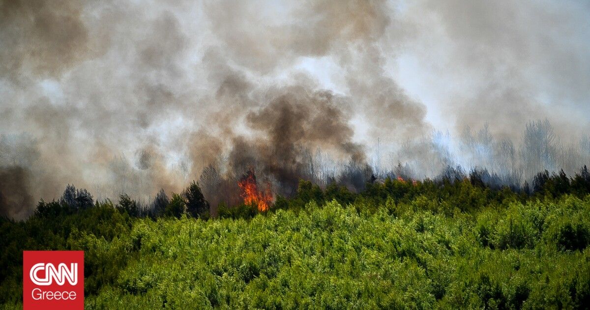Σε ποιες περιοχές είναι υψηλός ο κίνδυνος πυρκαγιάς σήμερα - CNN.gr