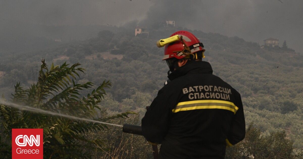 Ιωάννινα: Προφυλακίστηκε ο 57χρονος που συνελήφθη για εμπρησμό - CNN.gr