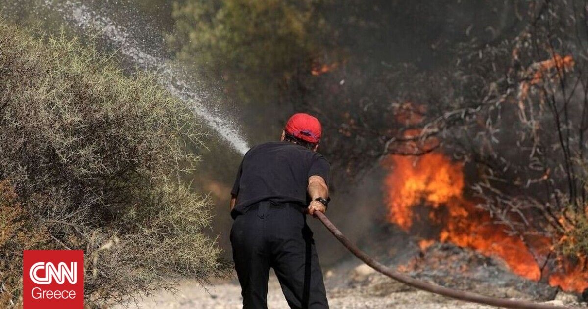 Φωτιά σε δασική έκταση στο Δρυόφυτο Πρέβεζας - CNN.gr