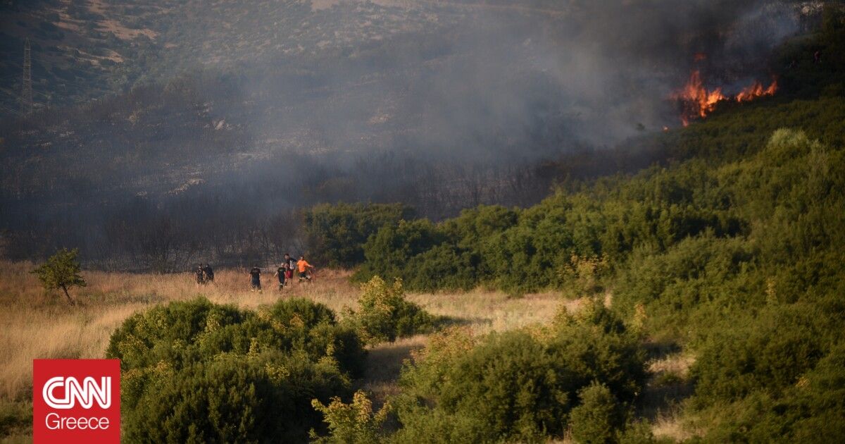 Φωτιά στον Όλυμπο - Καίει σε δύσβατη περιοχή - CNN.gr