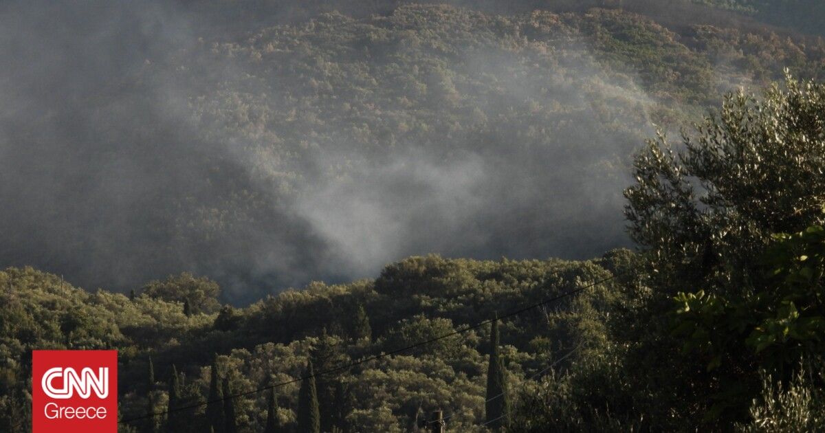 Φωτιά στη Φθιώτιδα: Υπέκυψε ο 67χρονος μελισσοκόμος που πήγε να σώσει ...