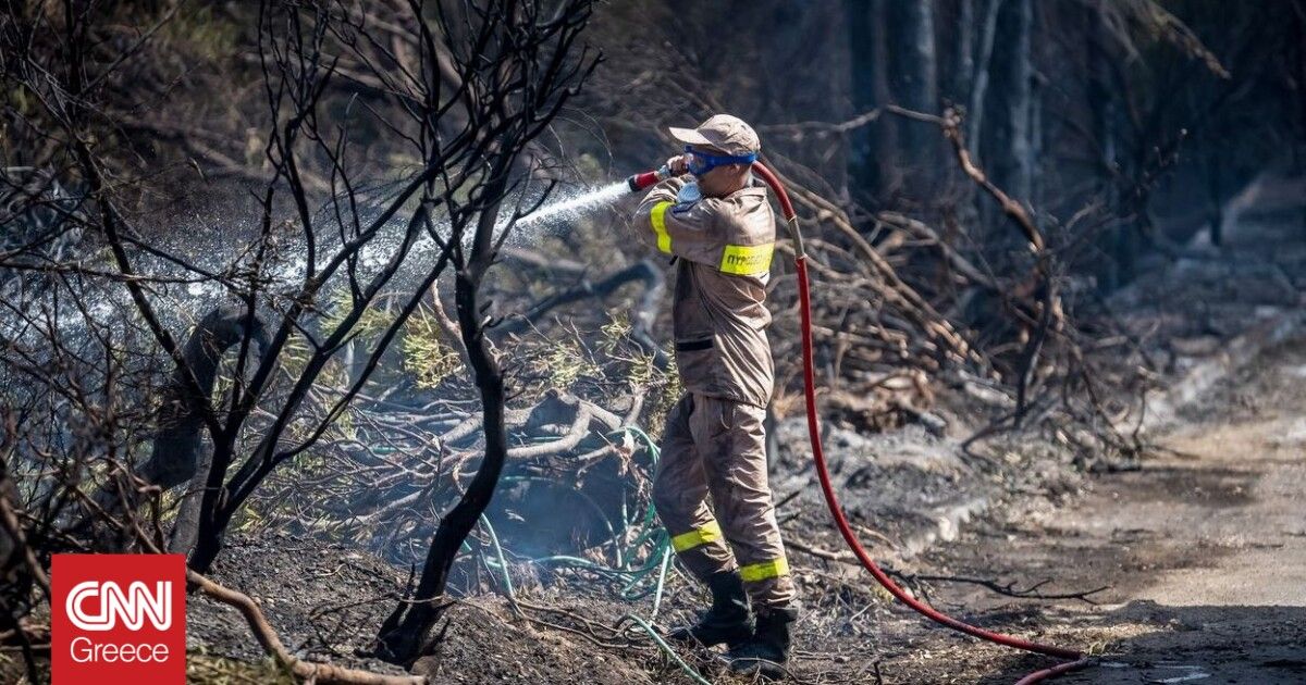 Πυρκαγιές: Τουλάχιστον το 23% της Αττικής κάηκε μέσα στα τελευταία επτά ...
