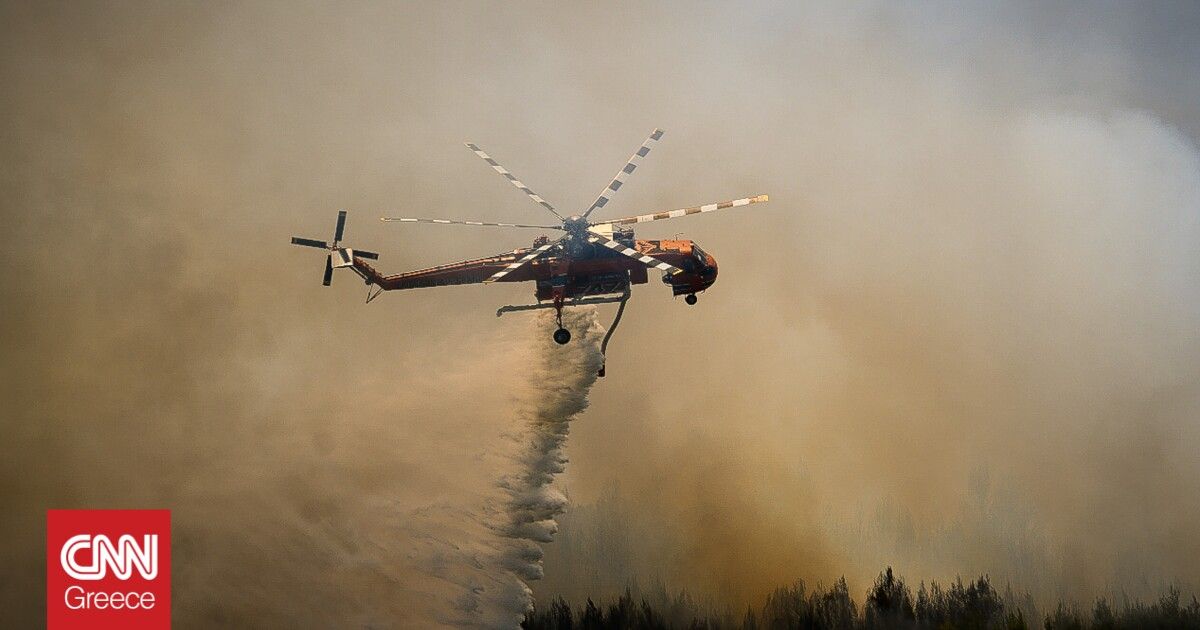 Πυρόπληκτες επιχειρήσεις: Άνοιξε η πλατφόρμα για την αποζημίωση 534 ...