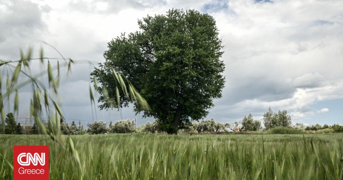 «Πράσινος Αγροτουρισμός»: Με ποιον τρόπο συμβάλει στην αντιμετώπιση της ...